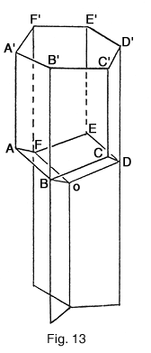 The Structure of Comb – Part 1 - ResistantBees_english