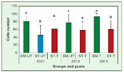 The natural arrangement of the combs in the beehive - ResistantBees_english