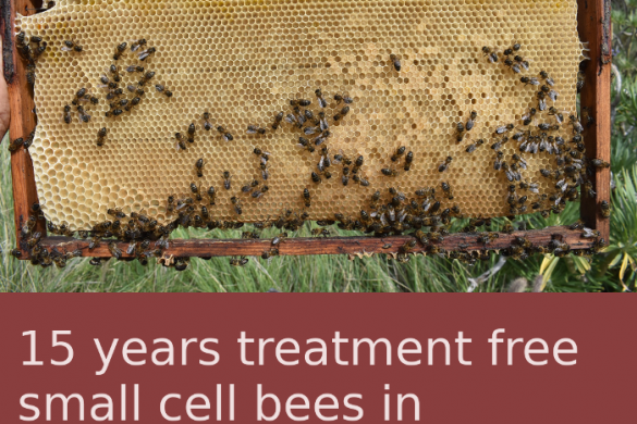 ResistantBees Varroa resistant bees